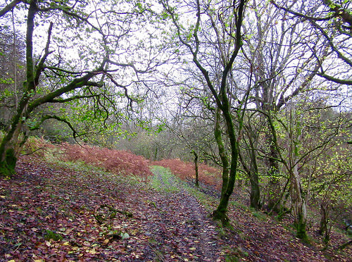 Cefnllys & the Ithon Valley, Powys – Christopher Somerville