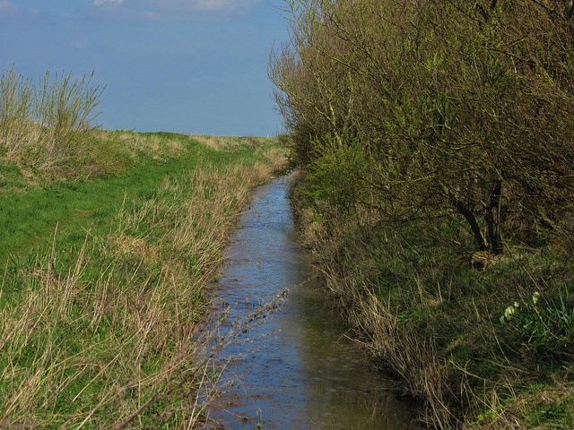 RSPB Marshside Reserve, Merseyside – Christopher Somerville