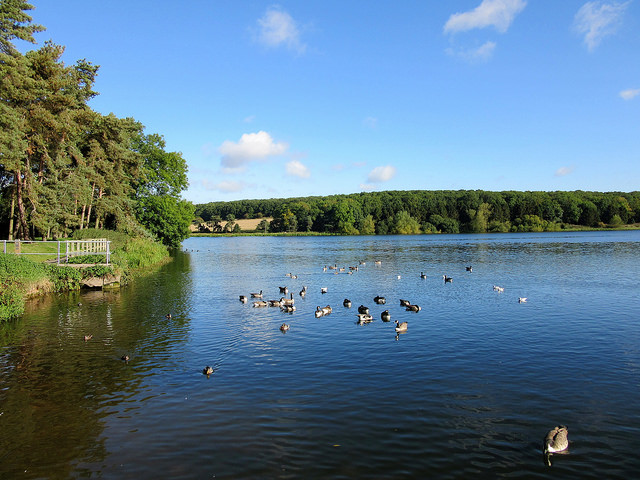 Thornton Reservoir and Bagworth Heath, Leicestershire – Christopher ...