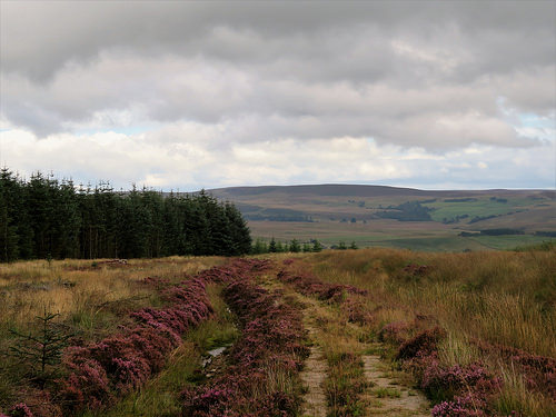 Greenhaugh and Sidwood, Northumberland – Christopher Somerville
