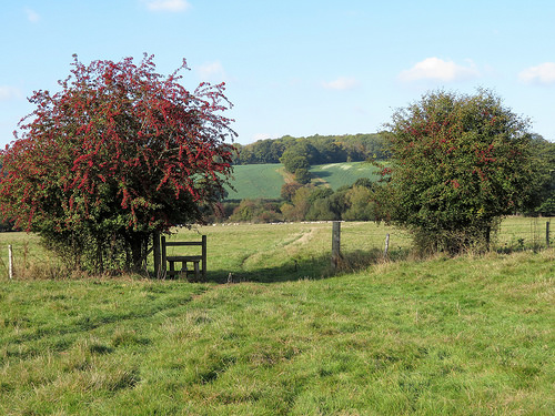 Withyham & Buckhurst Estate, East Sussex – Christopher Somerville