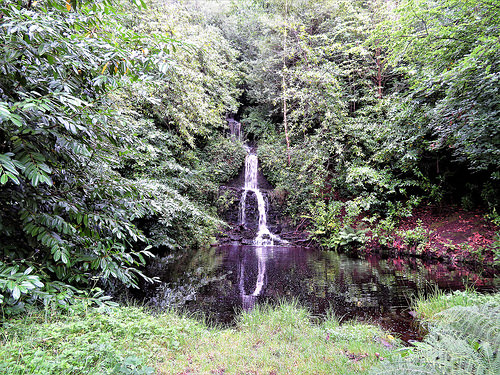 Coldharbour and Leith Hill, Surrey – Christopher Somerville