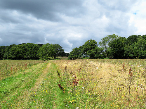Walks – Page 19 – Christopher Somerville