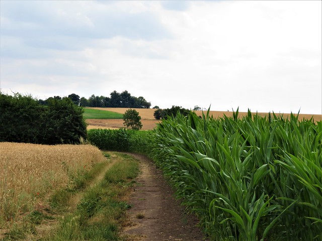 Walks – Page 15 – Christopher Somerville