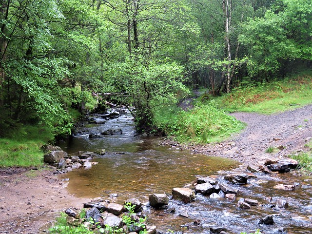 Hamsterley Forest, Durham Dales – Christopher Somerville