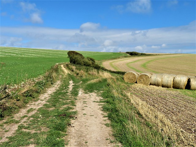 Walks – Page 9 – Christopher Somerville