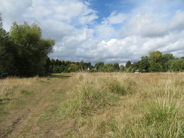 Walks – Page 19 – Christopher Somerville