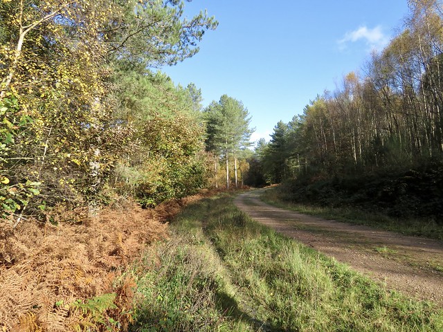 Chelwood Common & Sheffield Forest, East Sussex – Christopher Somerville