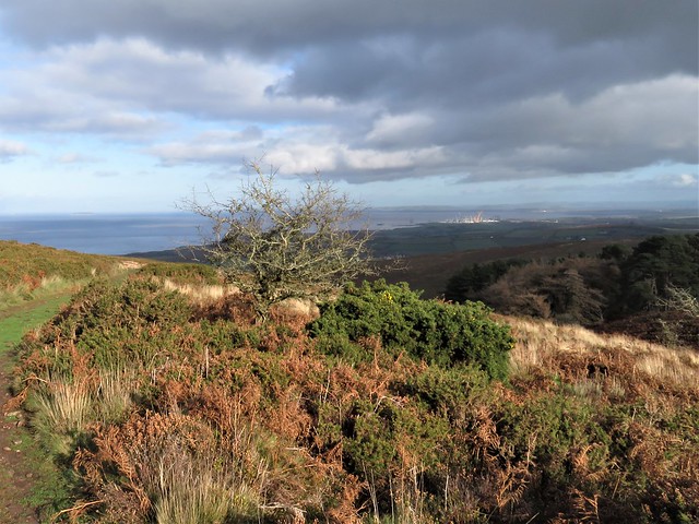 Walks – Page 12 – Christopher Somerville
