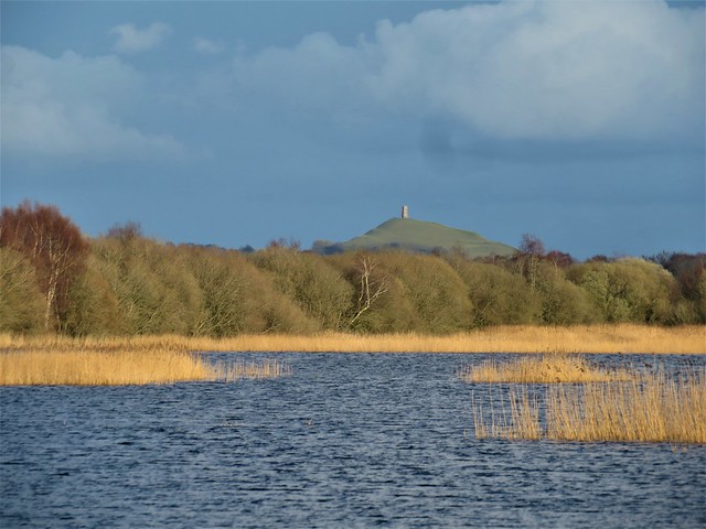 Shapwick Heath National Nature Reserve, Somerset Levels – Christopher ...