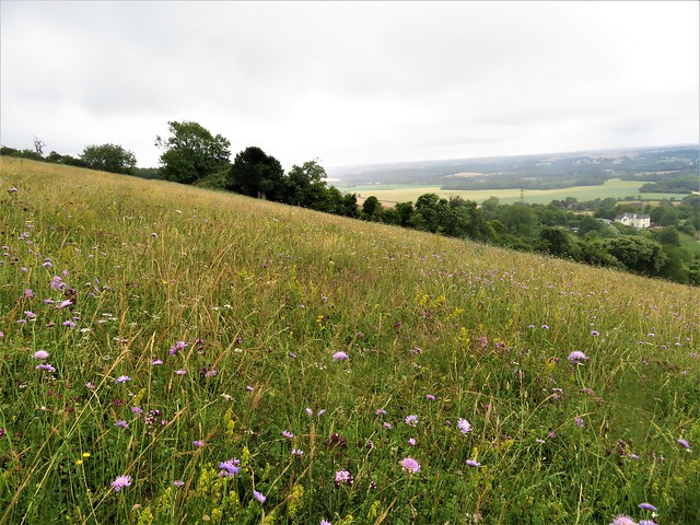 Hucking and The North Downs Way, Kent – Christopher Somerville