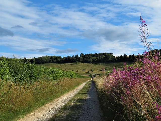 Walks – Page 9 – Christopher Somerville