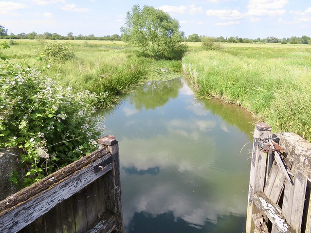 Fen Drayton Lakes and Amen Corner, Cambridgeshire – Christopher Somerville