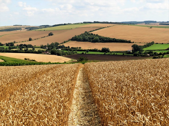 Longbridge Deverill and Cold Kitchen Hill, Wiltshire Downs ...