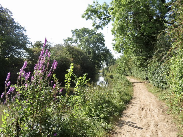Wootton Wawen, Stratford Canal and Austy Wood, Warwickshire ...
