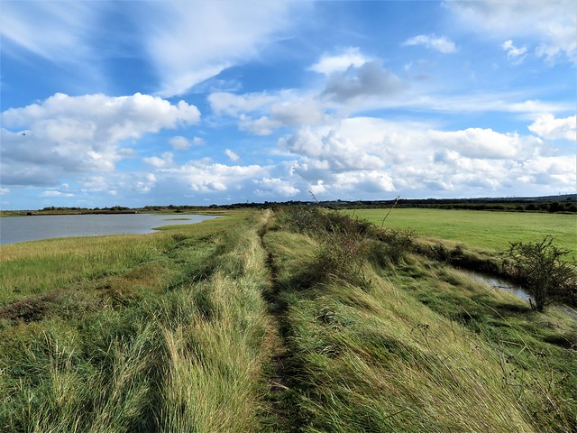Local Walks – Christopher Somerville