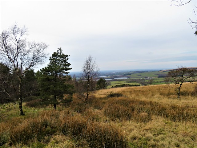 Winter Hill, Rivington Pike and Pigeon Tower, Lancashire – Christopher ...
