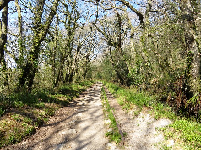 Luxulyan Valley & the Saints Way, Cornwall – Christopher Somerville