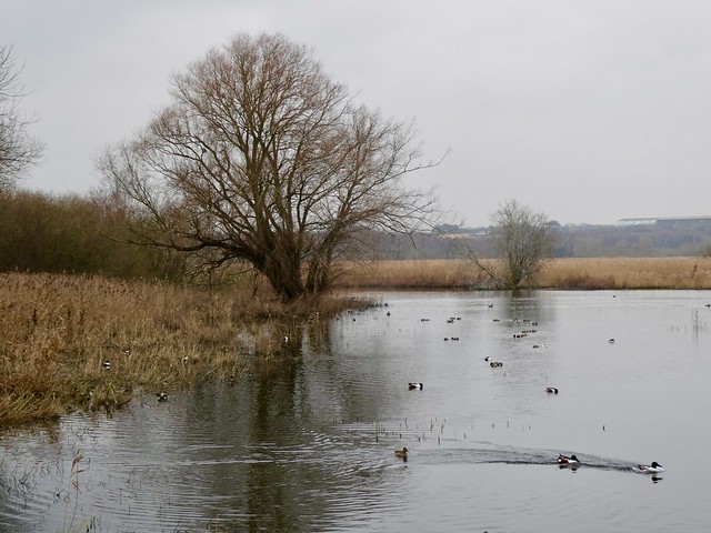Stodmarsh NNR and Grove Ferry, Kent – Christopher Somerville