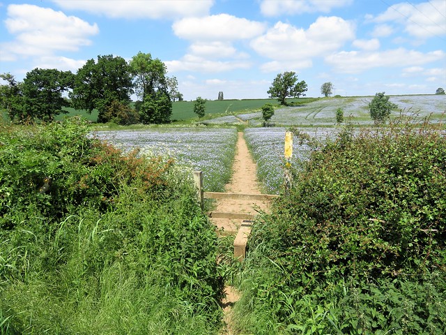 Hoby, Gaddesby and Frisby-on-the-Wreake, Leicestershire – Christopher ...