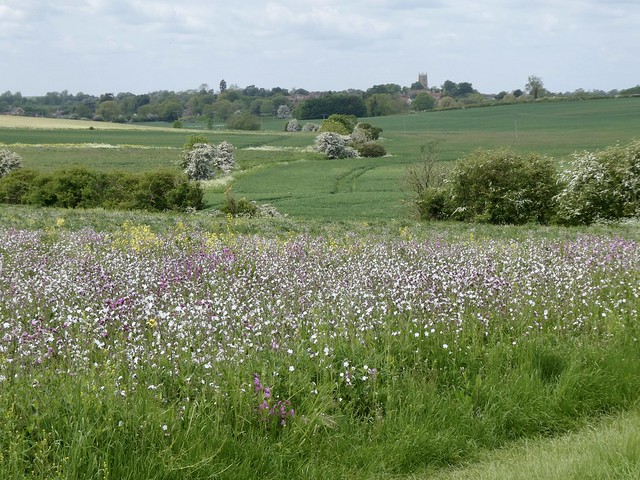 Folkingham & Sempringham Priory, Lincolnshire – Christopher Somerville