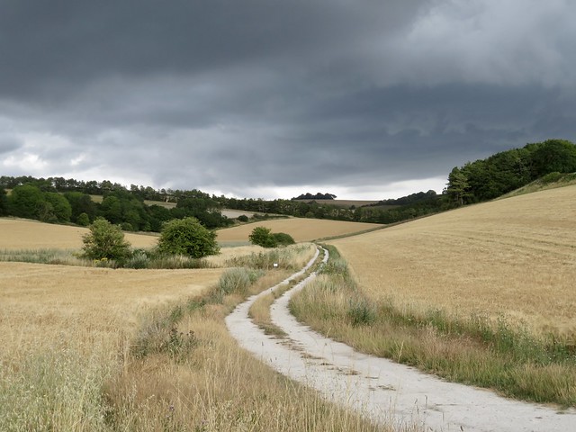 Buddington Bottom & Chanctonbury Ring, West Sussex – Christopher Somerville