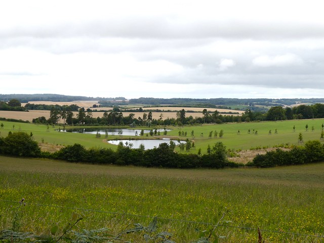 Upper Wield, Godsfield and the Ox Drove, Hampshire – Christopher Somerville