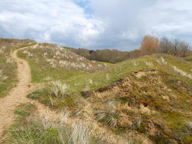 Walks – Christopher Somerville