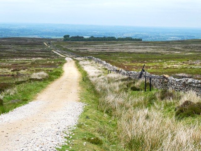 Barningham and Barningham Moor, Co Durham – Christopher Somerville
